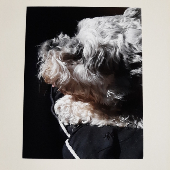 Marti Benner | Accents | Angel Signed Print | Poshmark